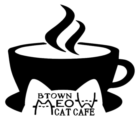 Btown Meow | Monroe County Cat Cafe
